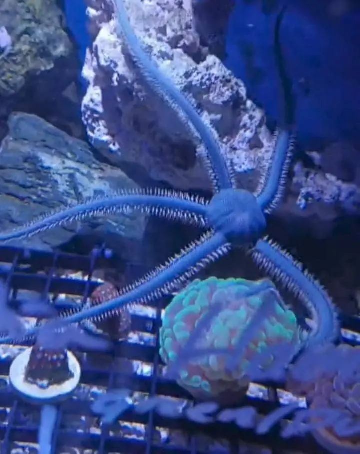 Decomposers Of The Ocean? 06 Important Types Scientifically Explained ...